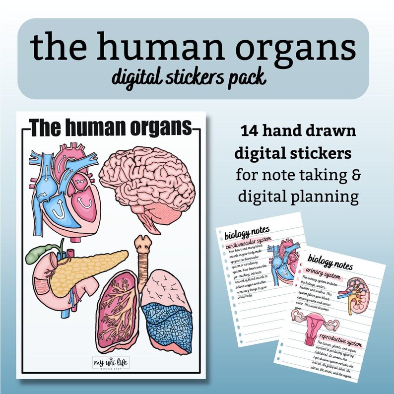 Biology Human Anatomy Stickers for Planning Studying Taking - Etsy