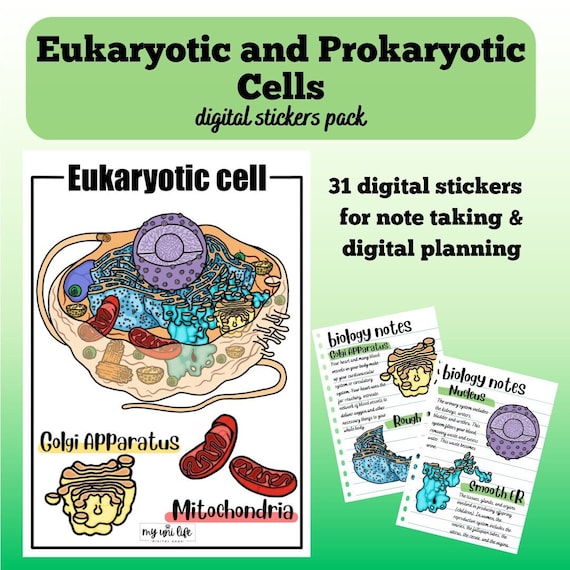 Eukaryotic And Prokaryotic Cells