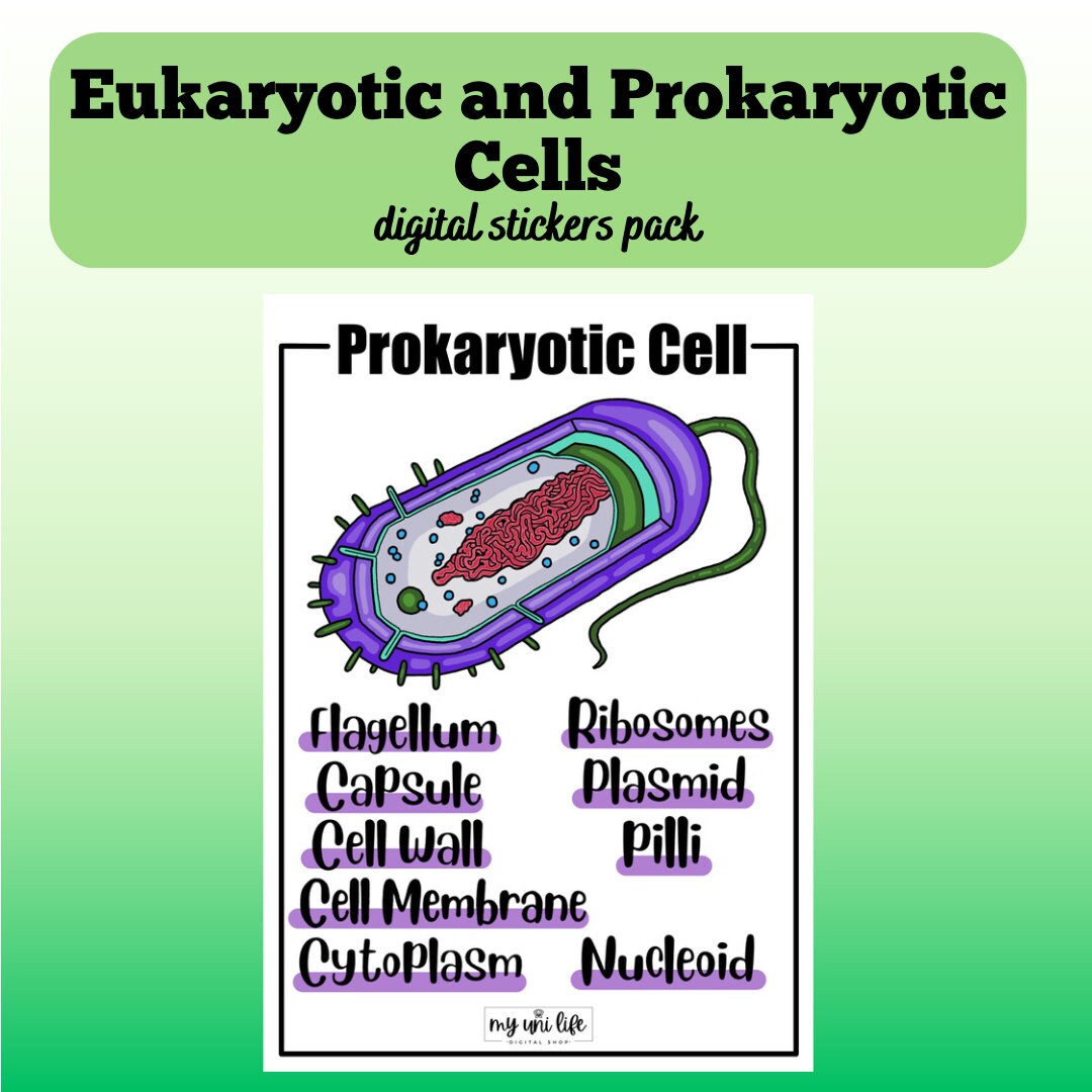 Biology Eukaryotic & Prokaryotic Cells Stickers for Planning, Studying ...