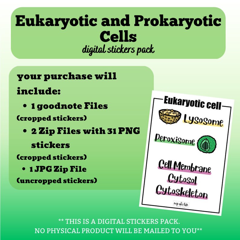 Biology Eukaryotic & Prokaryotic Cells Stickers for Planning, Studying ...