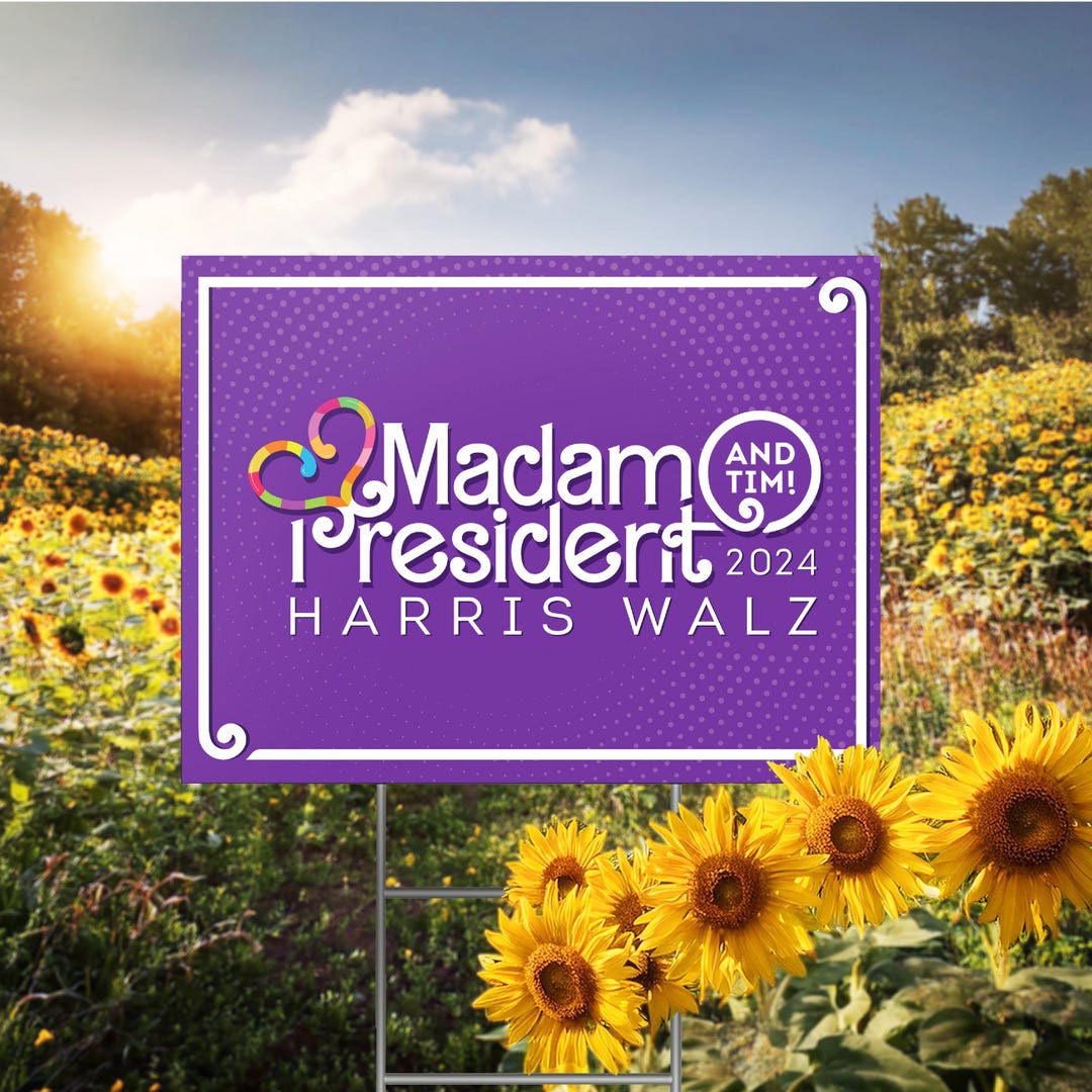 Kamala Harries 2024, Madam President, President Election, Equality ...