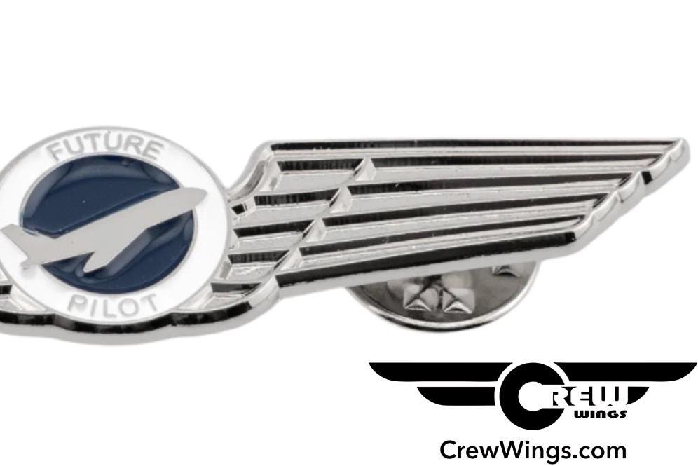 Pilot Wings for Kids (pack of 25) - Etsy