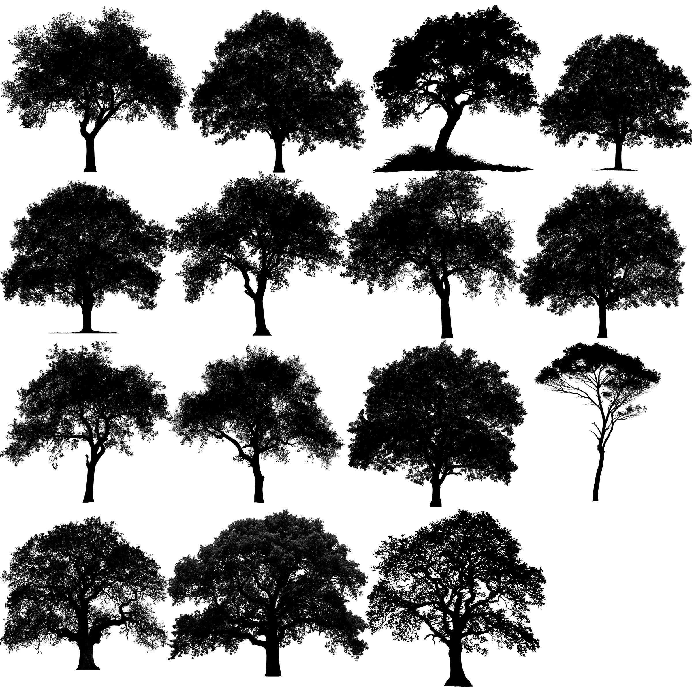 Realistic Trees Volume 1 Photoshop 21 Brushes Collection Stamps Paint ...