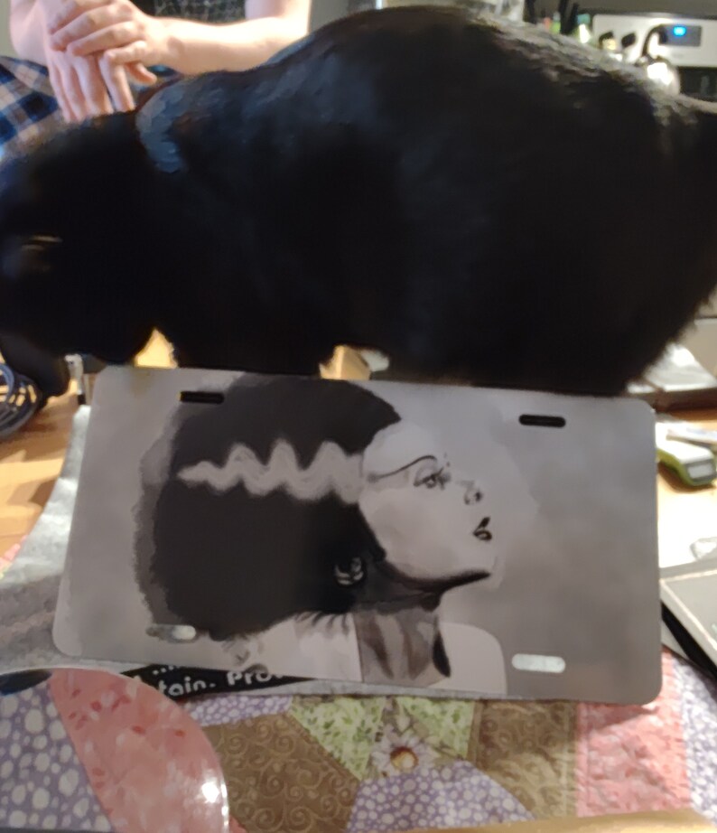 Bride of Frankenstein Custom Car Vanity Plate for A Gothic Twist on ...