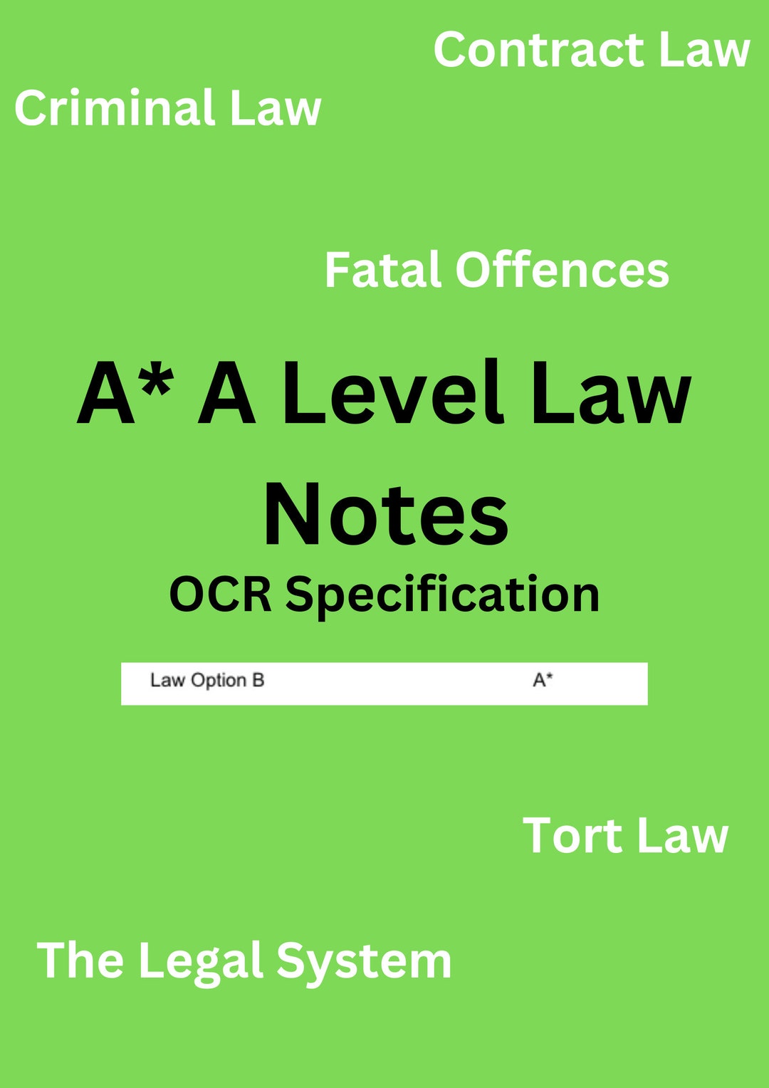 A Level Law Revision Notes - Etsy