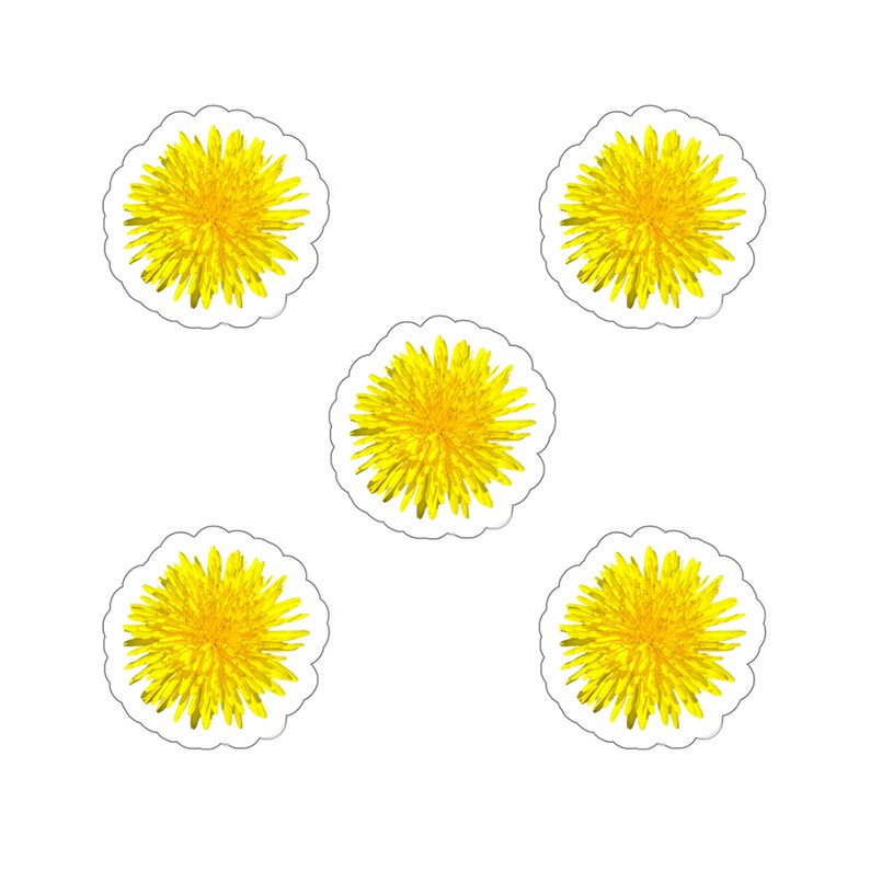 5 Dandelion Sticker Pack Kiss-cut Stickers - Etsy