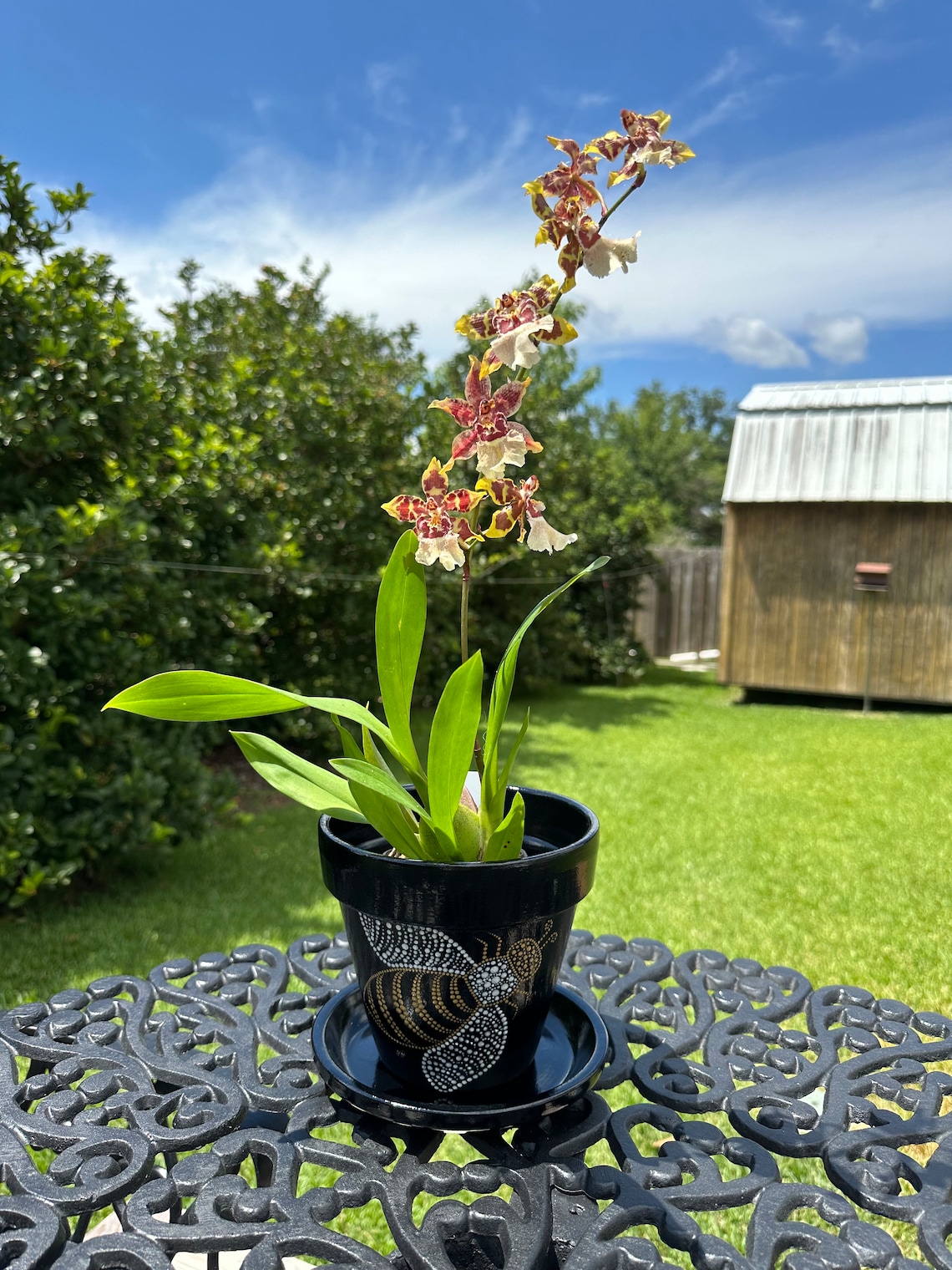 Bee Flower Pot Bee Plant Pot Hand Painted Terracotta Pot Gift ...