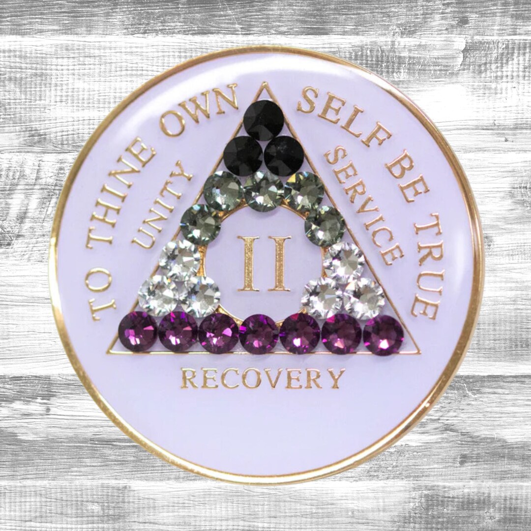 AA Anniversary White LGBTQ Crystal Asexual Flag Coin Medallion ...