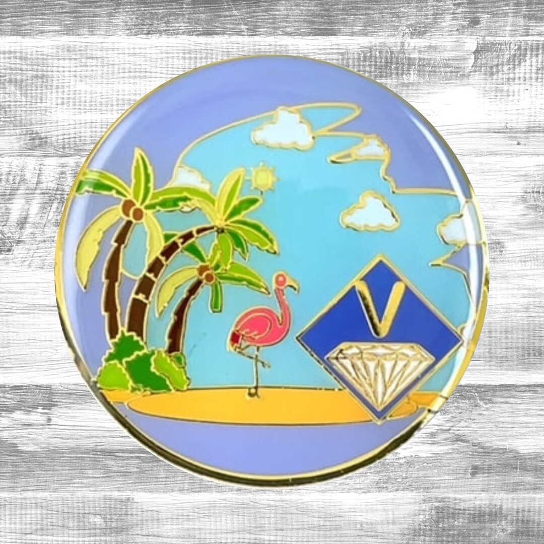 NA Beach Theme Anniversary Recovery Coin Medallion | Narcotics ...
