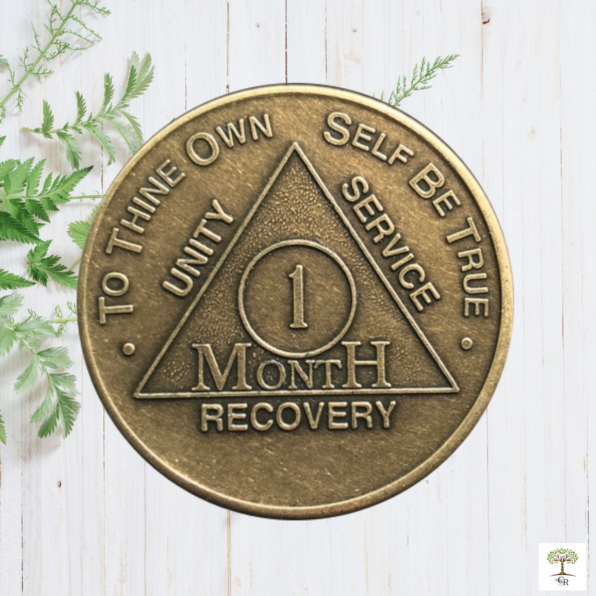 AA Sobriety Month Bronze Coin Token Alcoholics Anonymous - Etsy