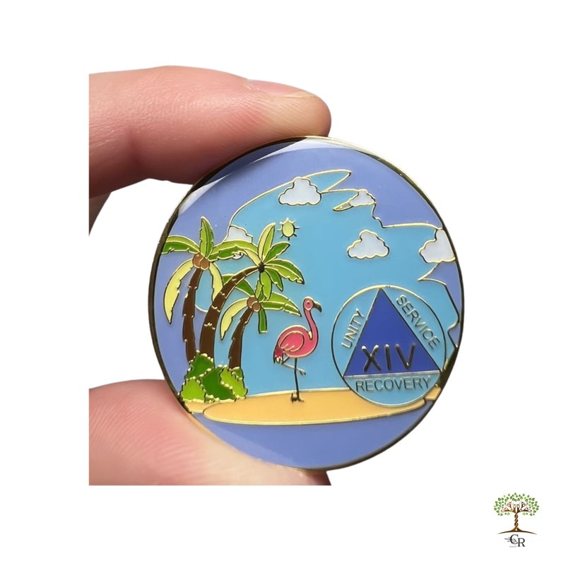 AA Beach Theme Anniversary Recovery Coin Medallion Alcoholics Anonymous ...