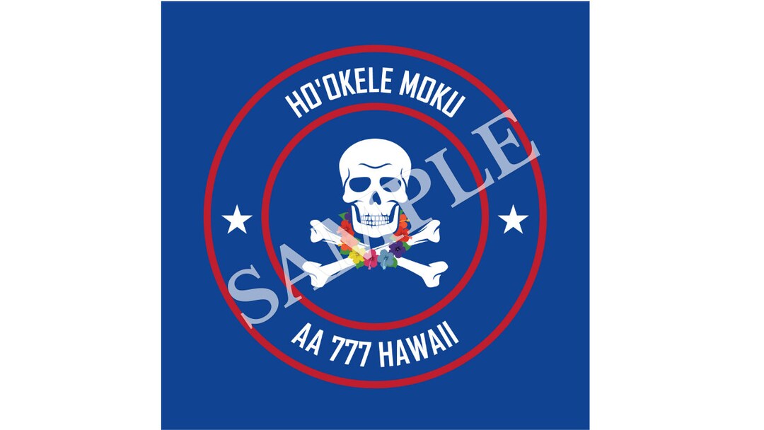 Island Pilot (hawaii) AA Boeing 777 Hawaii 2X3 Ft Flag 3-layer Cloth - Etsy