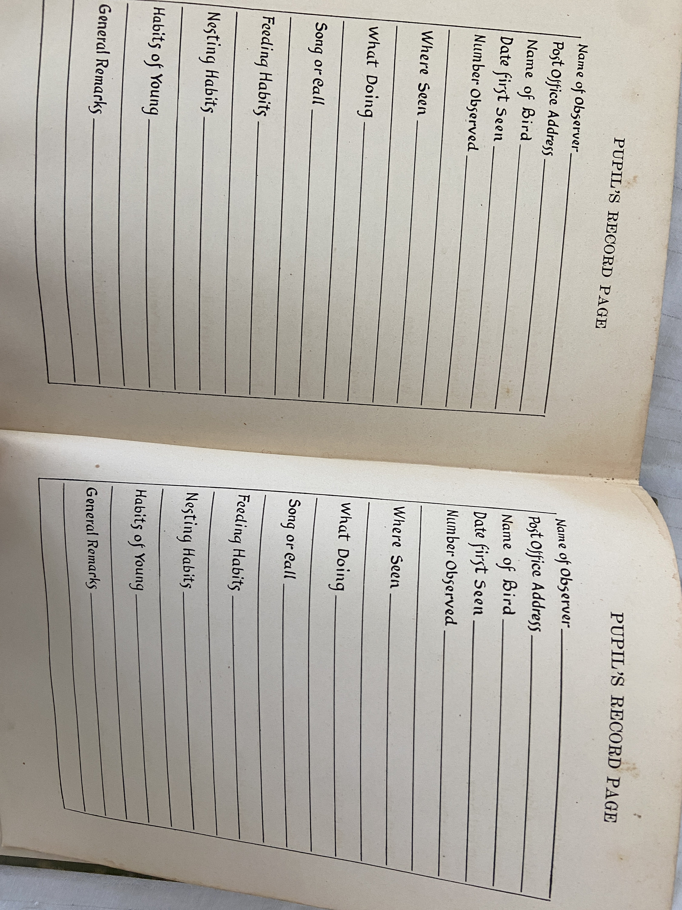 Our Bird Book, 1917 Vintage Illustrated Children's Book - Etsy