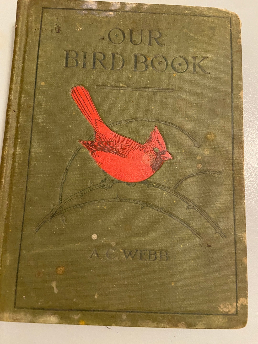 Our Bird Book, 1917 Vintage Illustrated Children's Book - Etsy