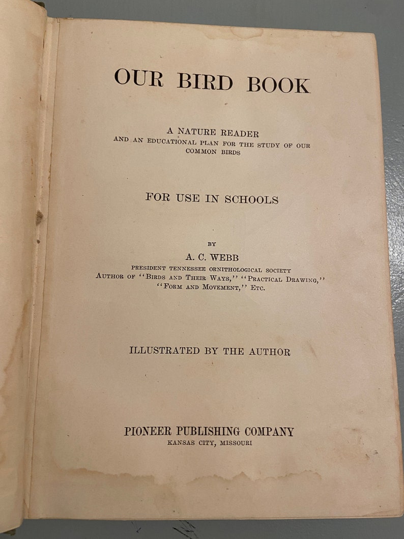 Our Bird Book, 1917 Vintage Illustrated Children's Book - Etsy