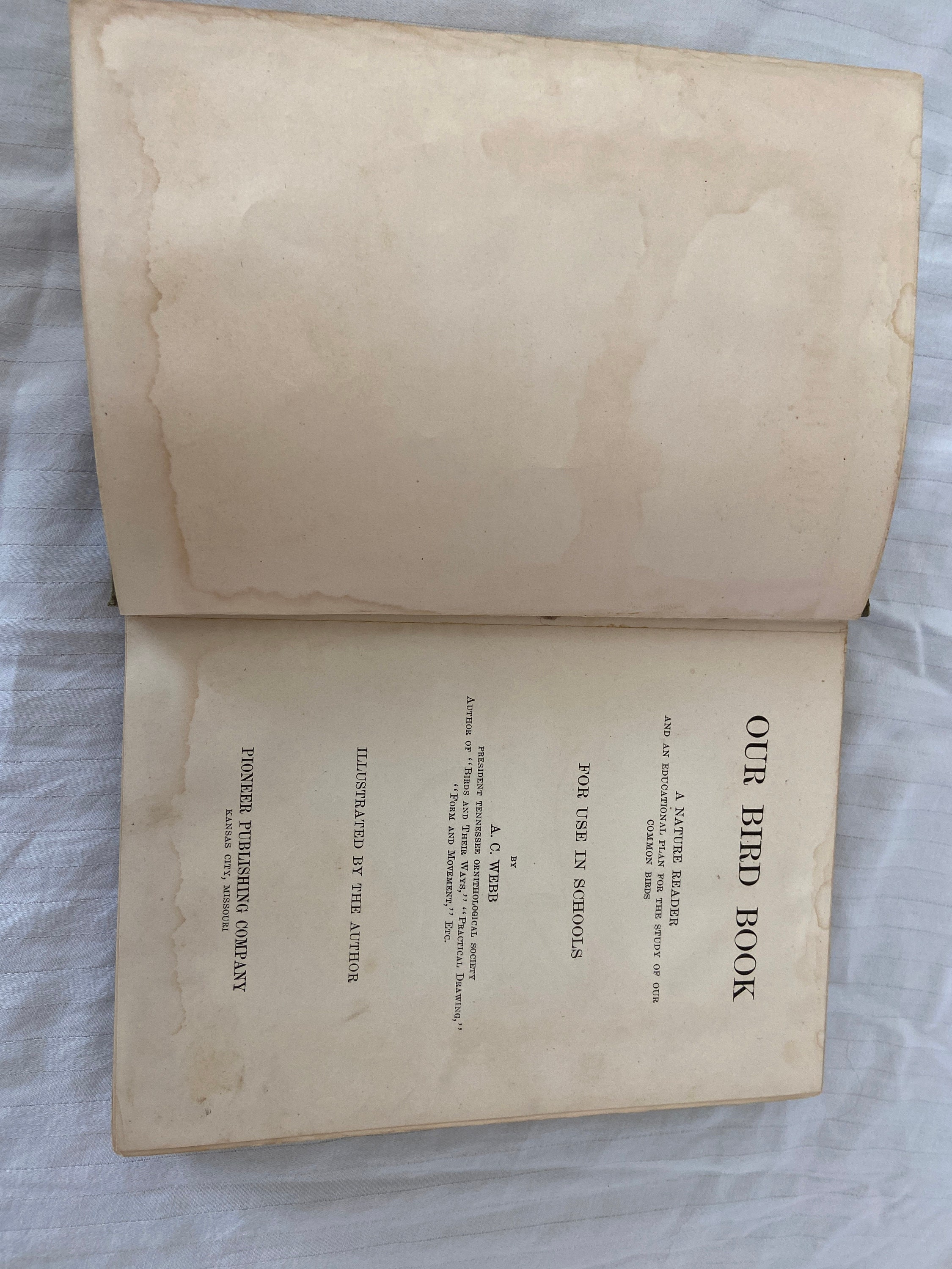 Our Bird Book, 1917 Vintage Illustrated Children's Book - Etsy