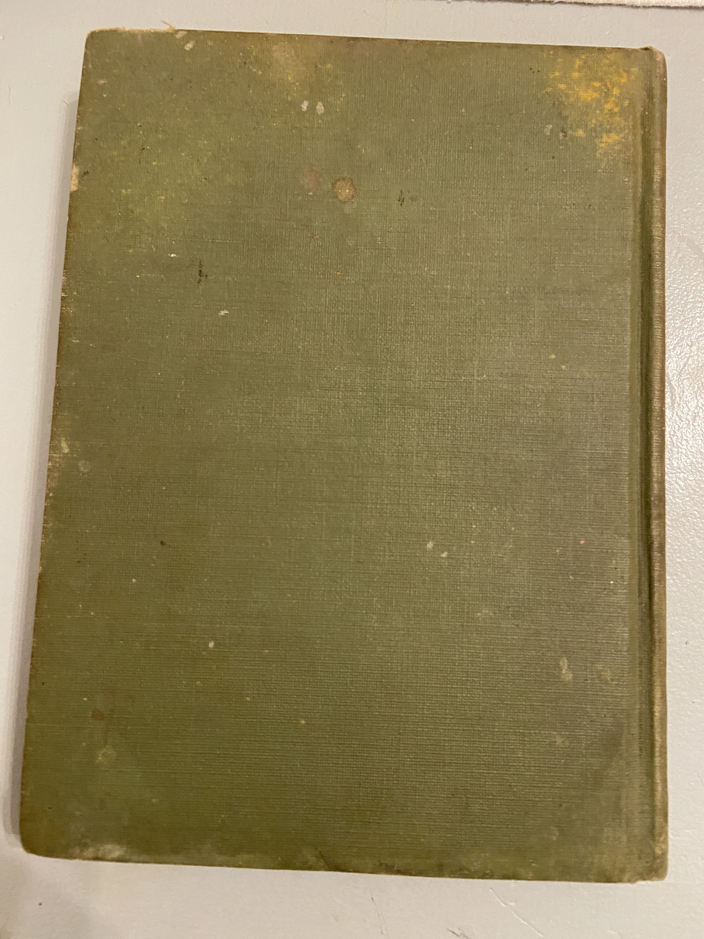 Our Bird Book, 1917 Vintage Illustrated Children's Book - Etsy