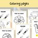 Preschool Pre-k + Kindergarten Ultimate Learning Bundle | +200 Pages ...