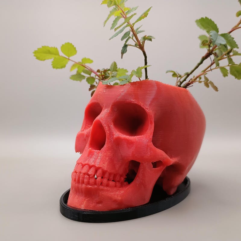Skeleton Planter - Etsy Australia