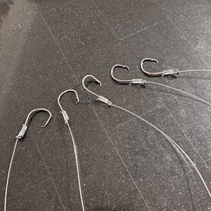 Cannonball Red/black Drum Fishing Rigs 100LB Mono Snelled 6/0 Circle ...