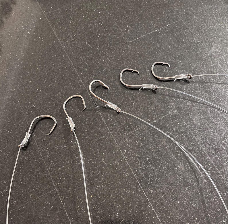 Cannonball Red/black Drum Fishing Rigs 100LB Mono Snelled 6/0 Circle ...