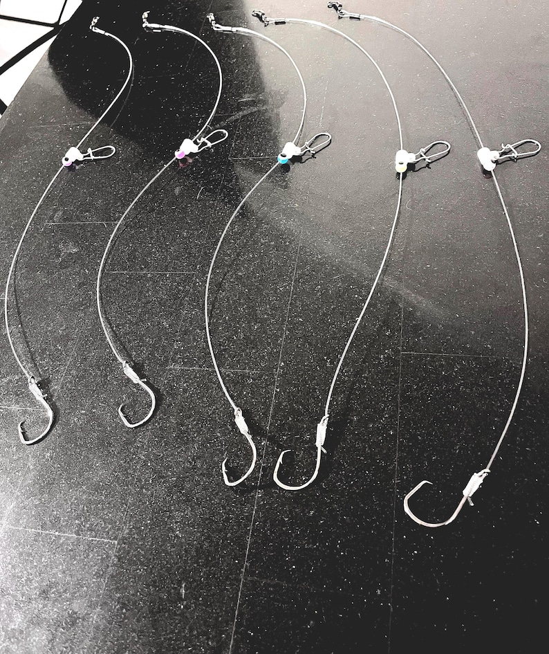 Cannonball Red/black Drum Fishing Rigs 100LB Mono Snelled 6/0 Circle ...