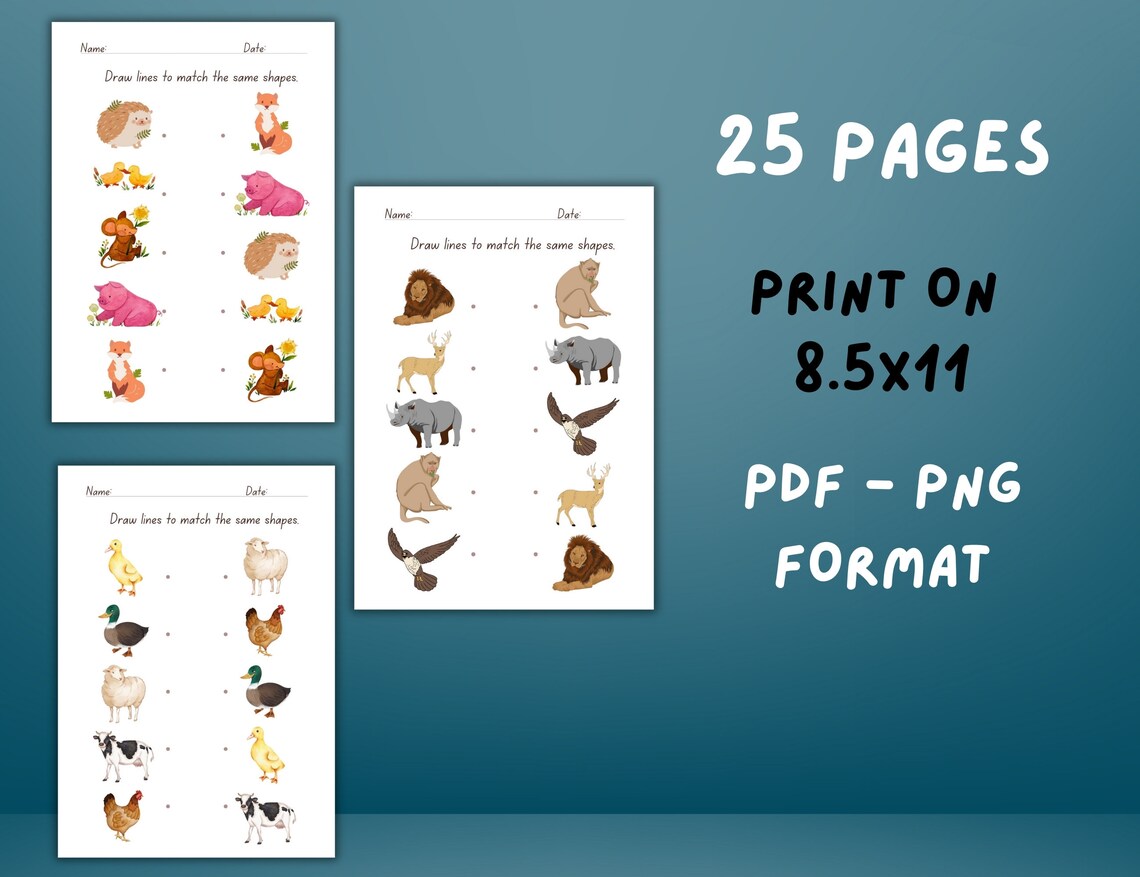 Printable Matching Worksheets - Match the Picture Activity for ...