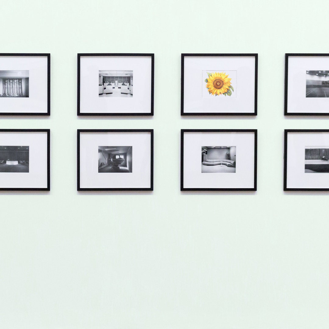 Sunflower Helianthus DIY Printable Sunflower Picture Sunflower Gifts ...