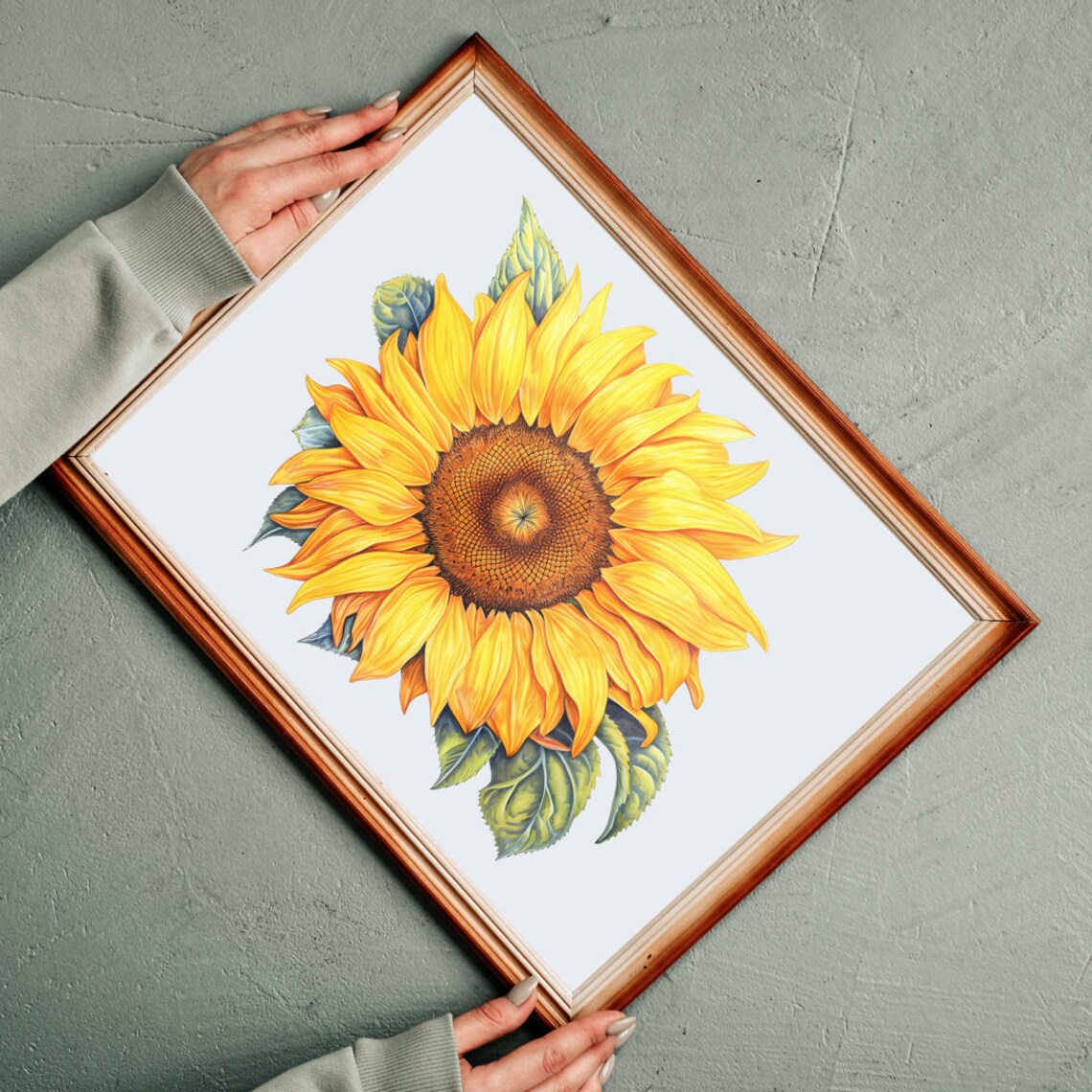 Sunflower Helianthus DIY Printable Sunflower Picture Sunflower Gifts ...