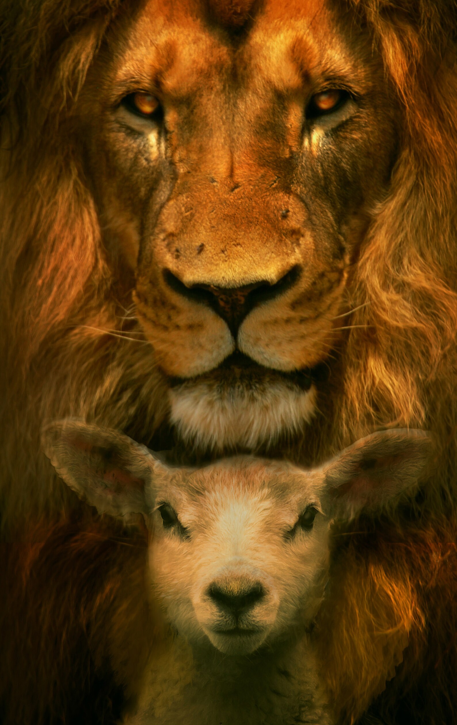 Lion and Lamb Digital Art - Wildlife Masterpiece - Instant Download ...