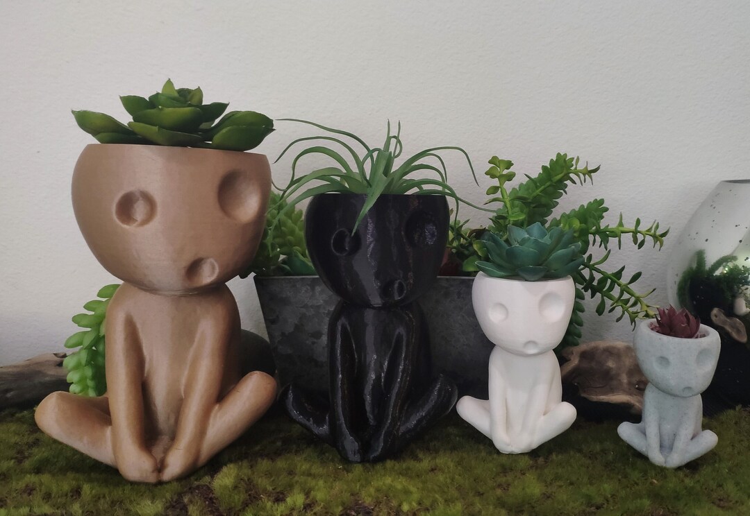 Kodama Planter Japanese Tree Spirit Succulent Air Plant 3D Printed - Etsy