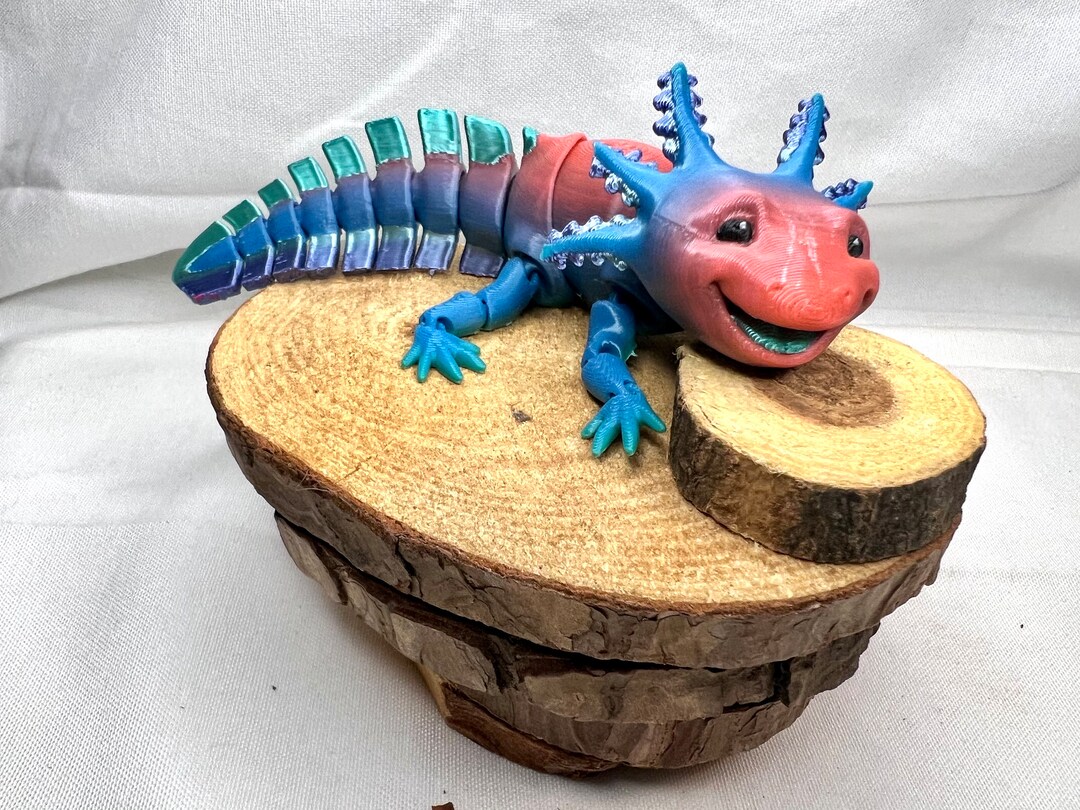 Axolotl Fidget - Etsy