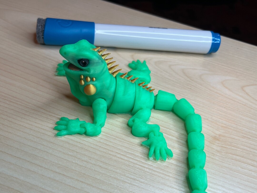 Iguana Fidget Toy - Etsy