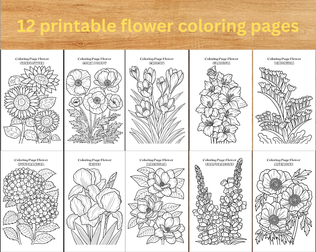 Flowers Coloring Pages, Botanical Coloring Pages, Printable Adult ...
