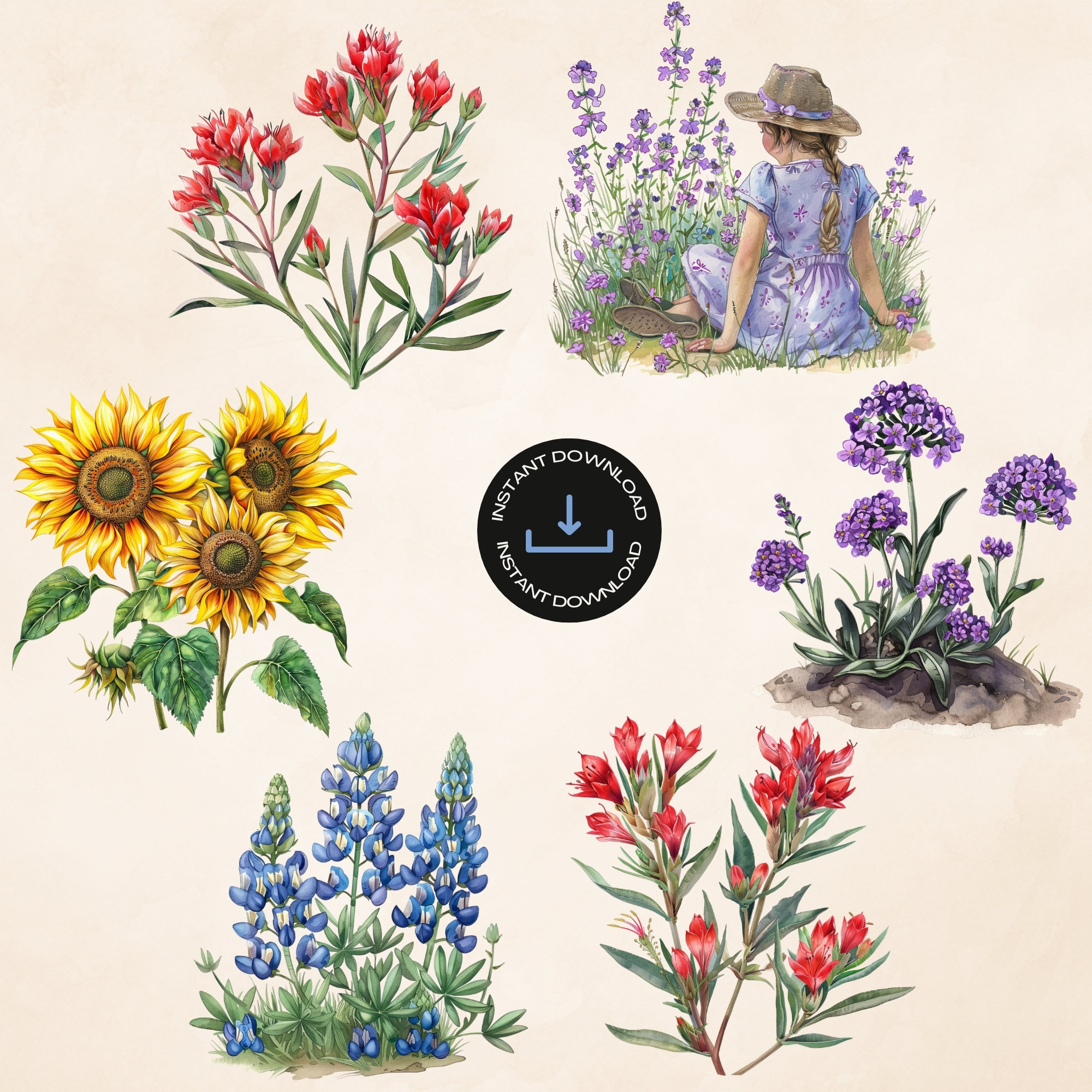 Texas Wildflower Clipart, Watercolor Flowers Clipart, Wild Flower ...