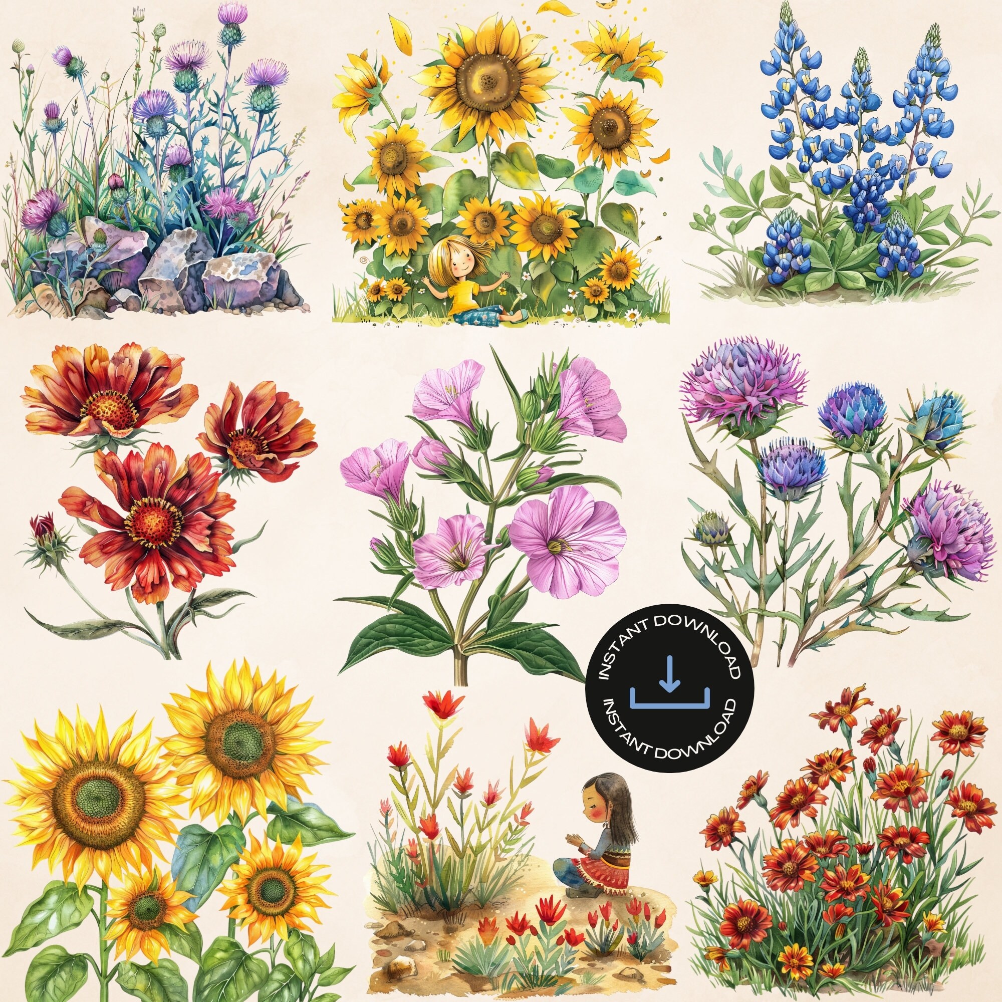 Texas Wildflower Clipart, Watercolor Flowers Clipart, Wild Flower ...