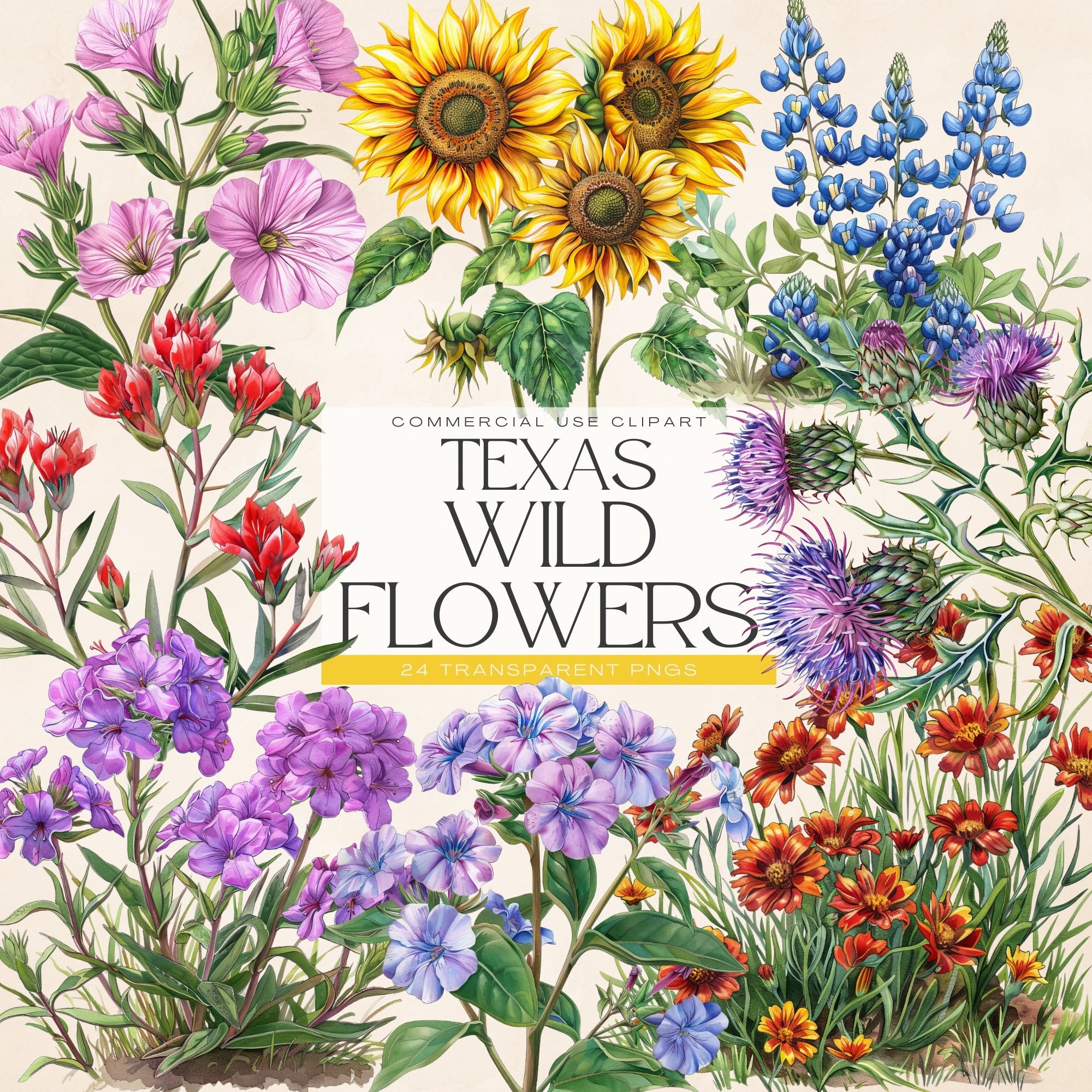 Texas Wildflower Clipart, Watercolor Flowers Clipart, Wild Flower ...