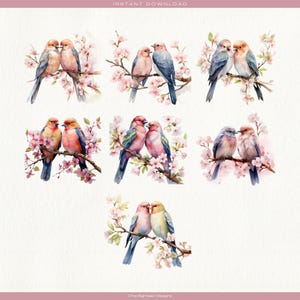 Love Birds Clip Art PNG Romantic Love Birds With Floral Decorations ...