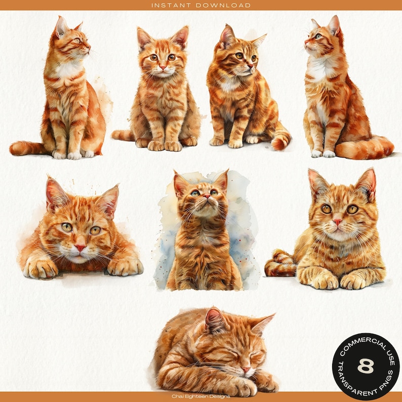 Ginger Cat Clipart, Tabby Cat, Orange and White, Pet Animal Design, Fur ...