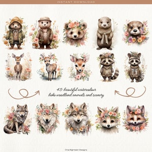 Boho Woodland Animal Clipart, Cute Forest Animals, Woodland Baby Shower ...