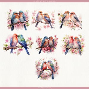 Love Birds Clip Art PNG Romantic Love Birds With Floral Decorations ...