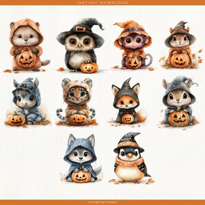 Boho Halloween Woodland Animals PNG Bundle, Cute Fall Animal Clipart ...