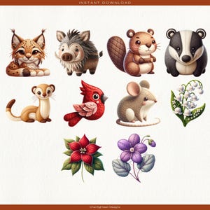 Felt Woodland Animals Clipart Collection, Cute Forest Critter Pngs ...