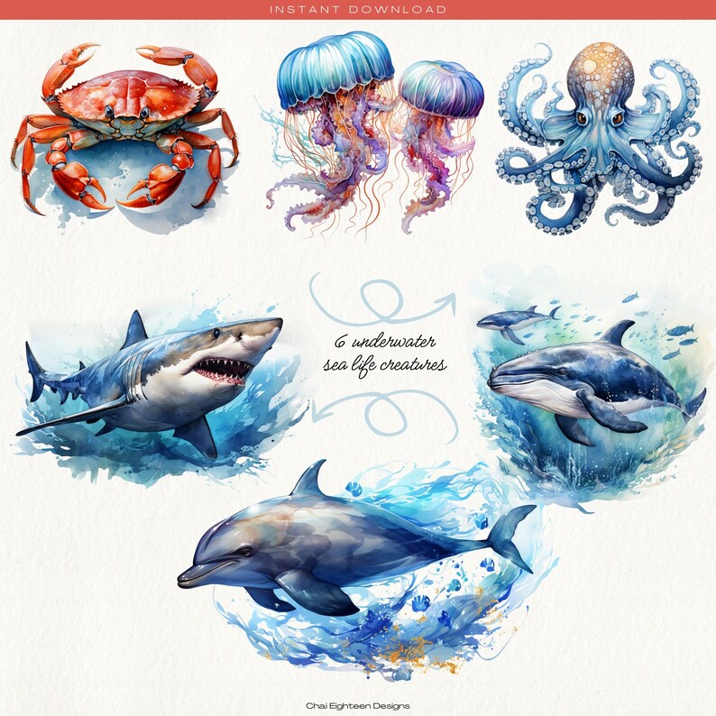 Under the Sea Clipart, Watercolor Sea Creatures, Underwater Animals ...