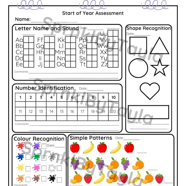 3 Year Old Assessment - Etsy