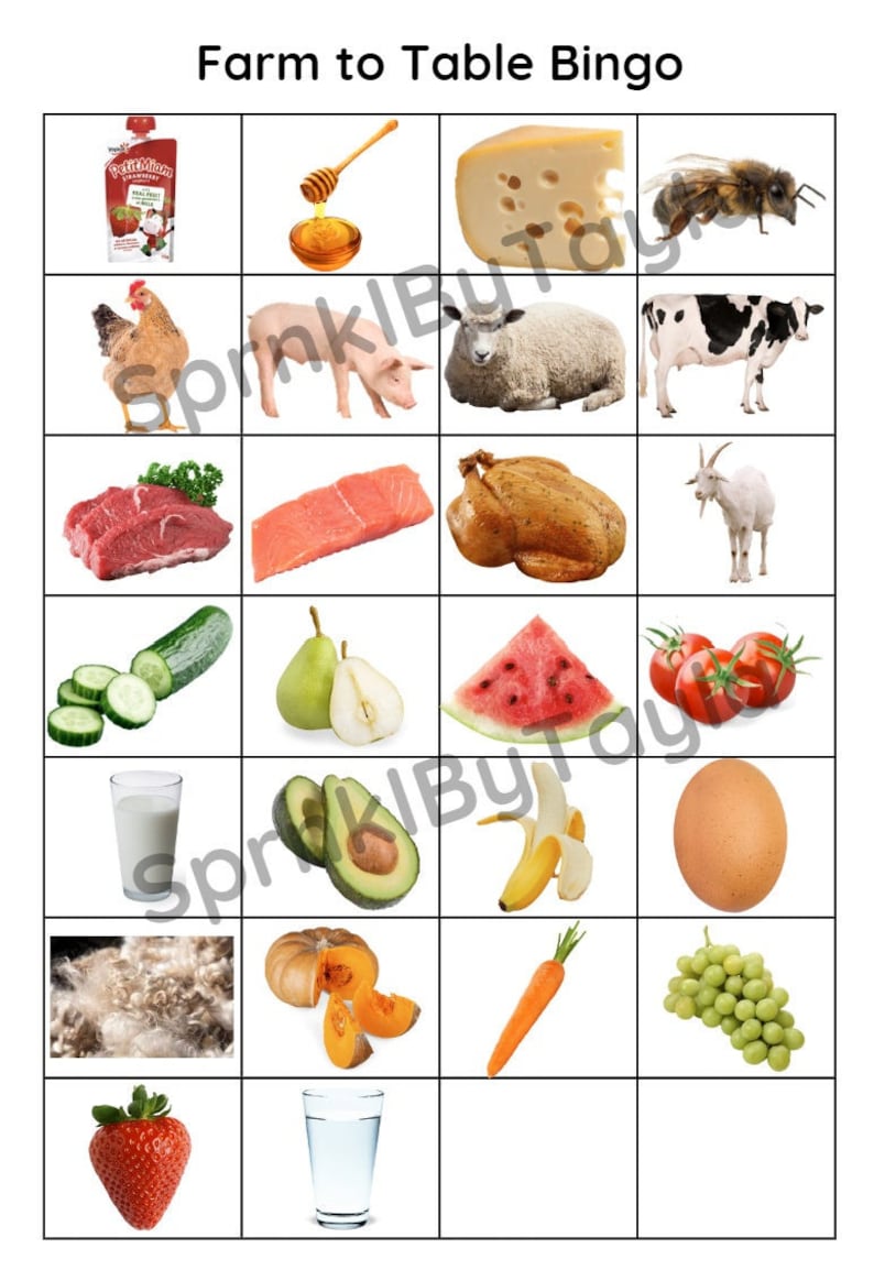 Farm to Table Bingo - Etsy