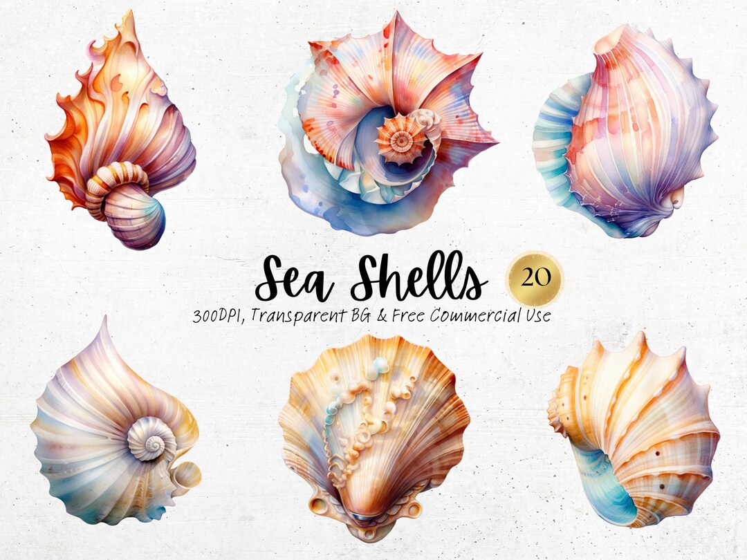 Watercolor Sea Shells Clipart, Printable Aqua Marine Conch Png, Under ...