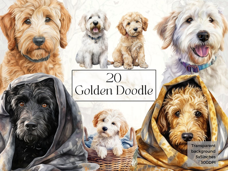 Watercolor Goldendoodle Png Clipart Printable Poodle Mix Dog - Etsy