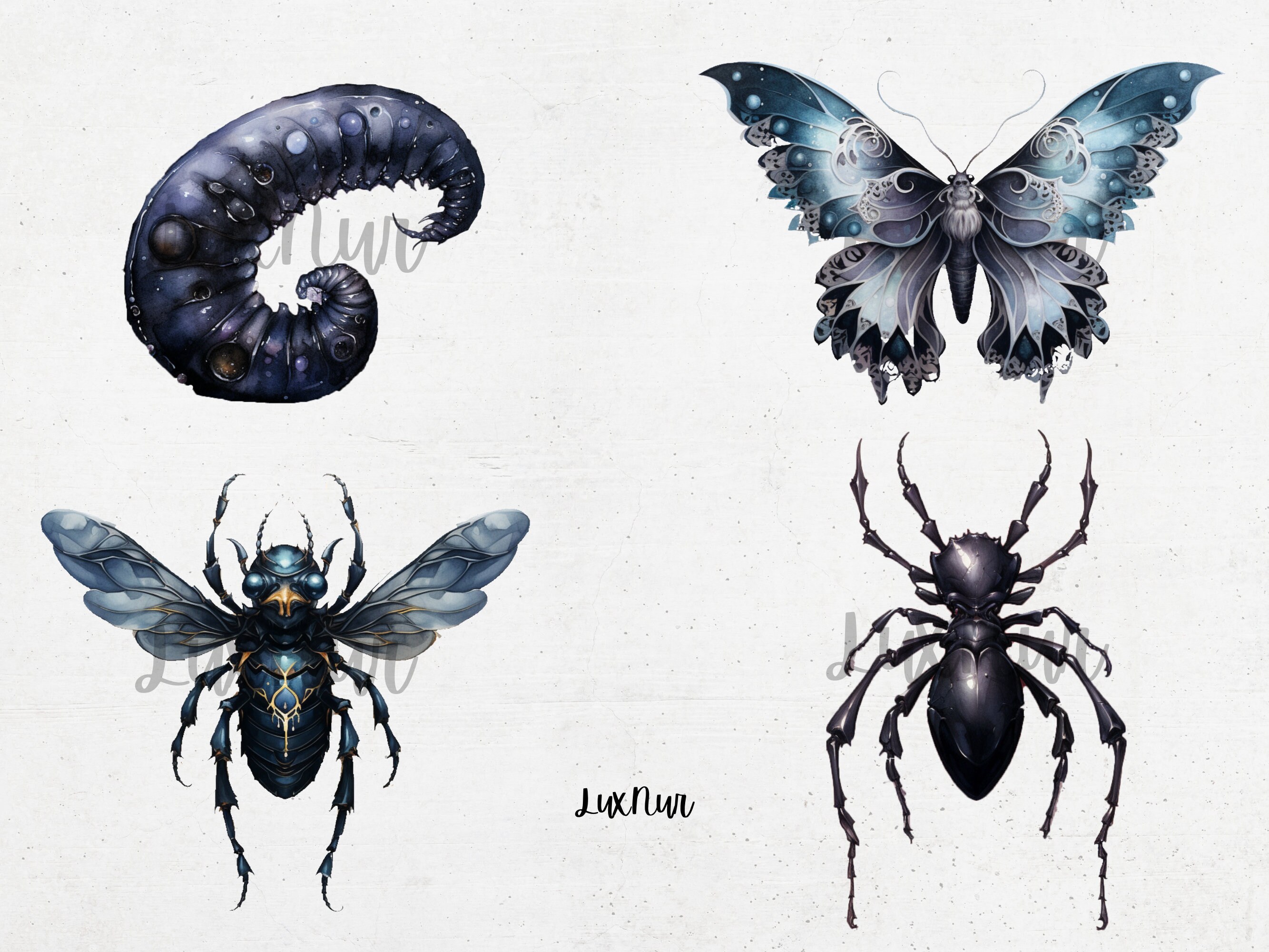 Watercolor Gothic Bugs Clipart Printable Dark Fantasy Insects - Etsy