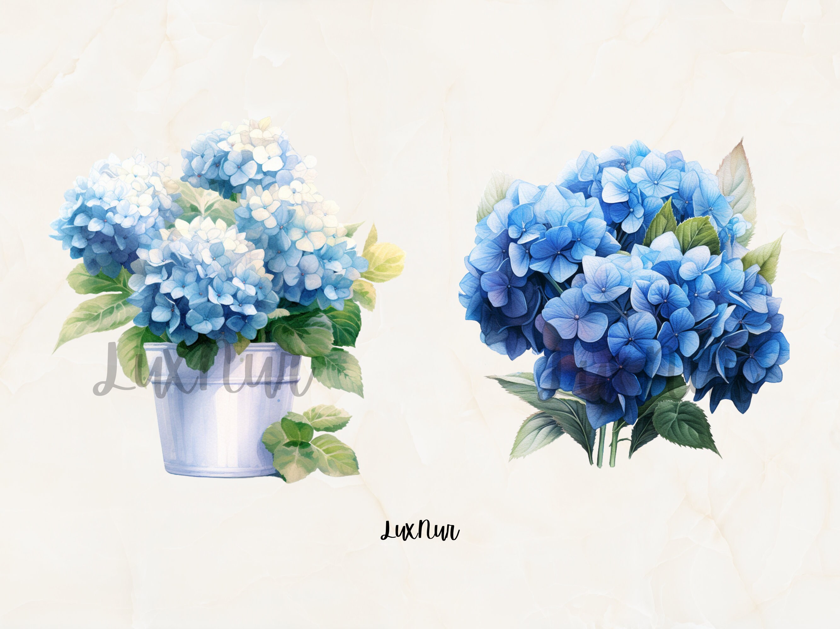 Watercolor Blue Hydrangea Clipart Printable Flower Dusty Blue - Etsy